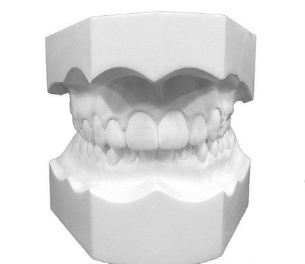Ortho Plaster 50lb Super White - Garreco #272 - Gift Card - $5 ...